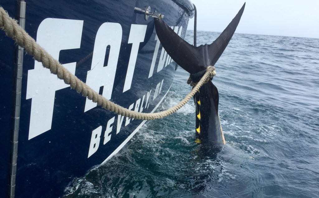 Fat Tuna Charters on Wicked Tuna - Fat Tuna Charters